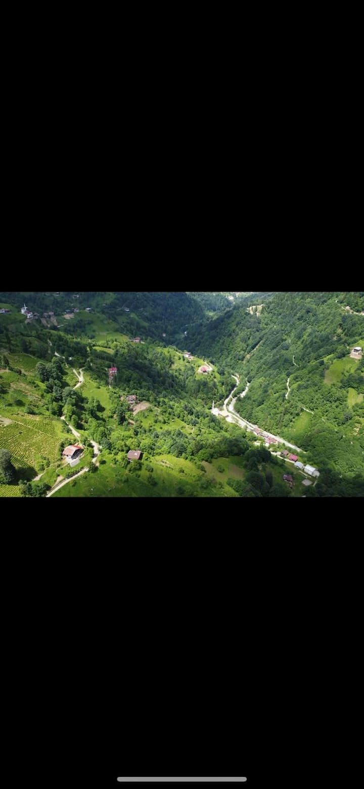 Muhteşem Manzaralı Köy Villası - Rize