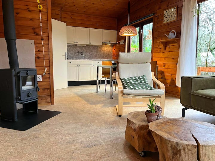 Finse Moderne Bungalow Op De Veluwe - Netherlands