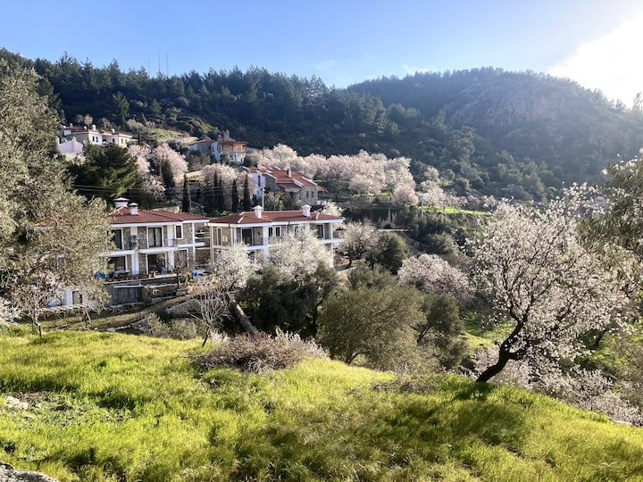 Deniz Manzaralı Stüdyo Daire - Mesudiye