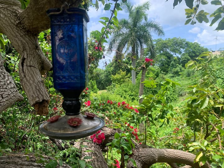 Cozy Townhouse, Near Beach And Hip Strip - Montego Bay
