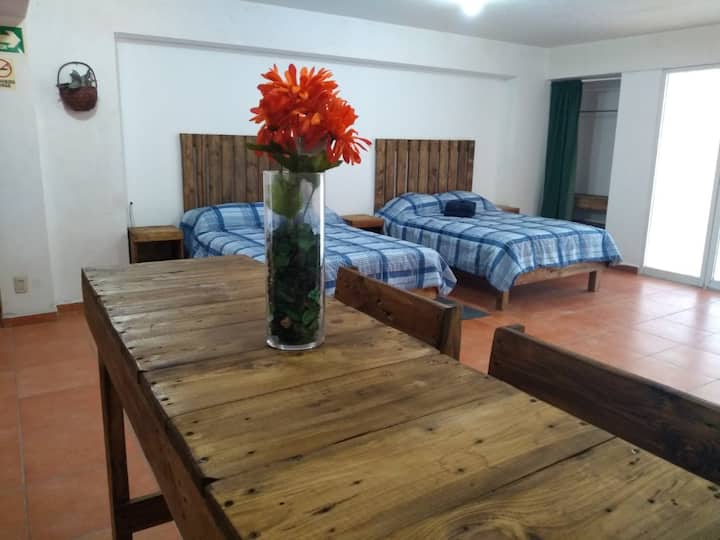 Estudio Amplio, Cómodo, Acceso Fácil A Todos Lados - San Luis Potosí