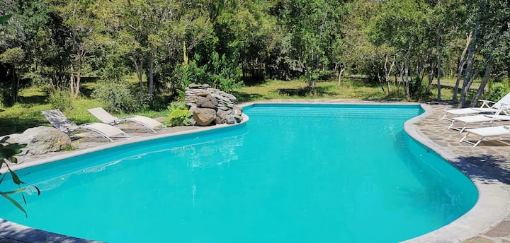 Vistas Lago Y Volcán En Pleno Bosque Nativo - Pucon