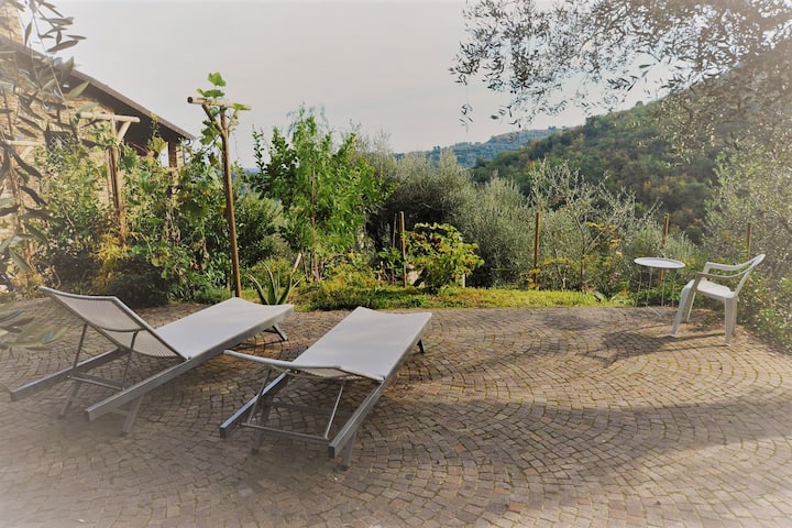Apartment Ulivi E Relax Für Die Ganze Familie - Cervo