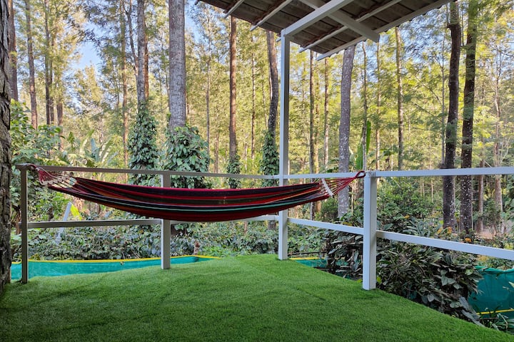 Tipperary Garden Villa - With Private Garden Space - Yercaud