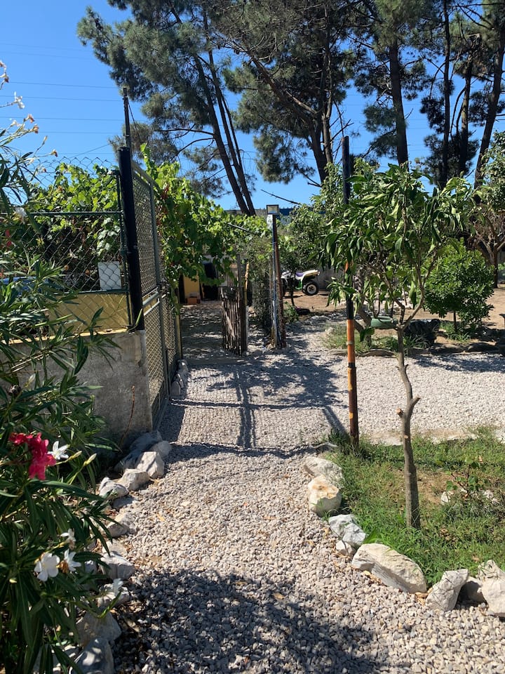 Magnifique Villa Avec Pisicne - Sesimbra