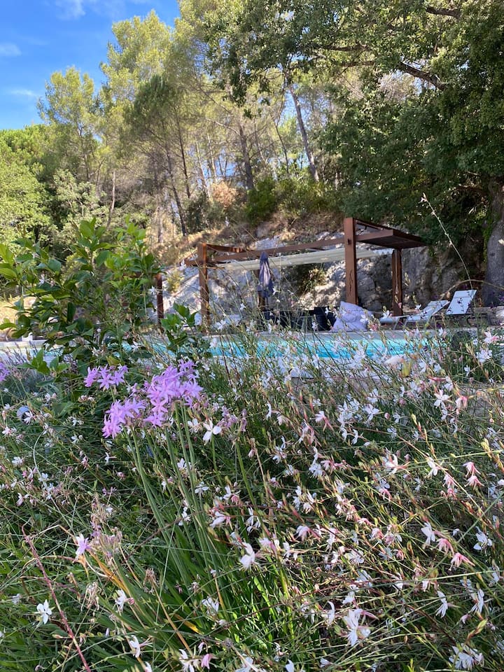 The Calm In Aix En Provence - Aix-en-Provence