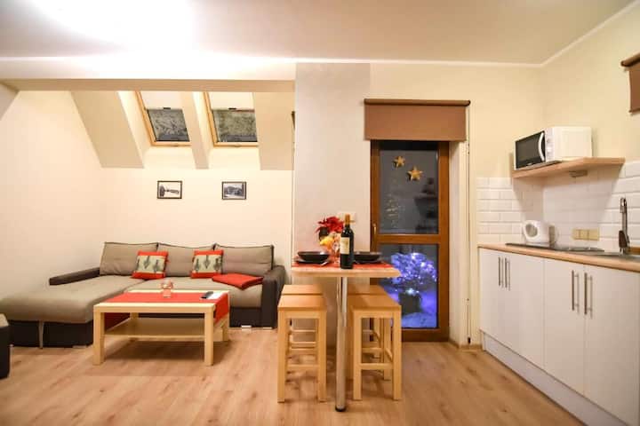 Apartament Północ - Domek Srebrny ŚWierk - Zakopane