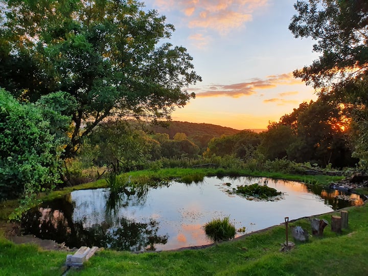 Lovely, Secluded Rewilding Eco-lodge. Superb Views - Cheddar