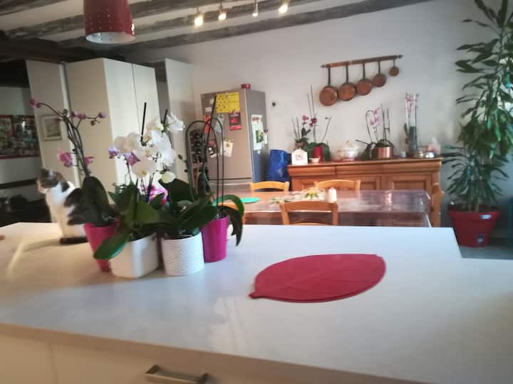 Chambre "Verger Fleuri" Au Cœur Dumarais Poitevin. - France