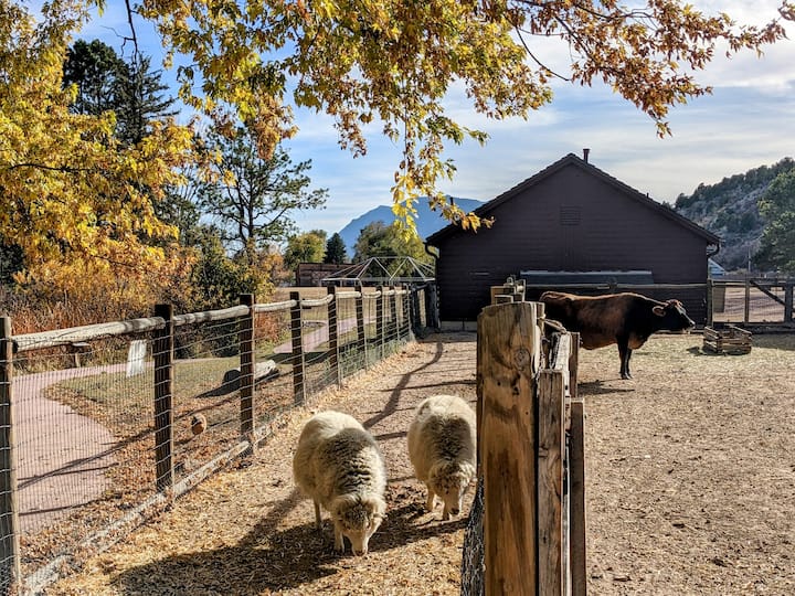 Top 6 Ranches To Stay In Colorado Springs, Colorado - Updated 2025 ...