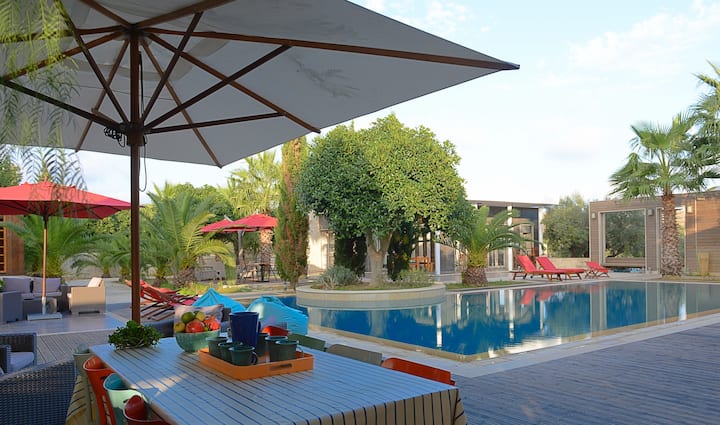 Villa Avec Suites Piscine Oliveraie Et Jardins - Tunisie