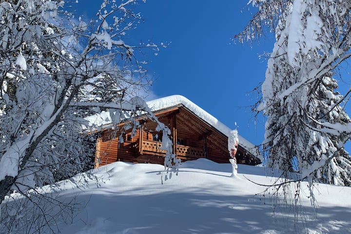 Les Diablerets - Chalet En Lisière De Forêt - Les Diablerets