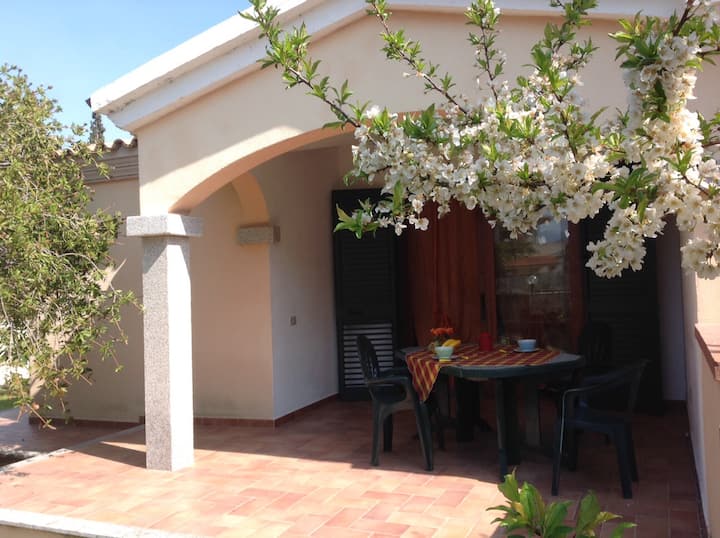 Fantastico Villino Centralissimo - San Teodoro