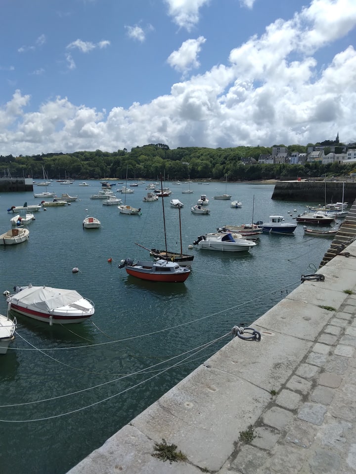 Petit Appartement 'Cosy' Au Rosmeur à Douarnenez - Douarnenez