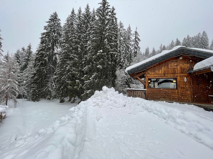 Cozy Family Chalet - Les Carroz d'Arâches