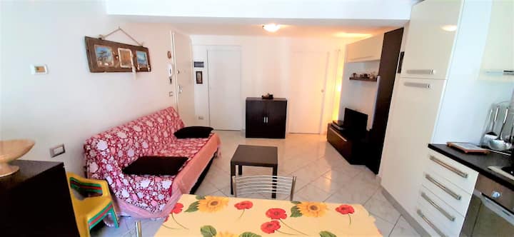 Viareggio Appartamento Completo E Molto Carino - Viareggio