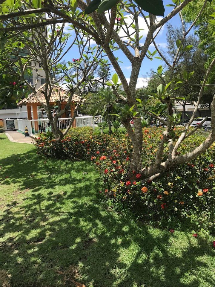 Riocentro / Rock In Rio / Parque Olímpico - Río de Janeiro