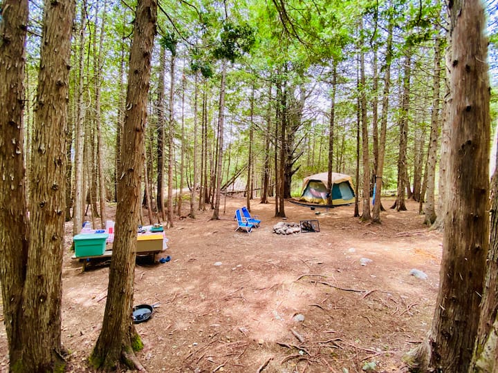 Acadia East Campground - Cadillac Mtn Campsite - Maine