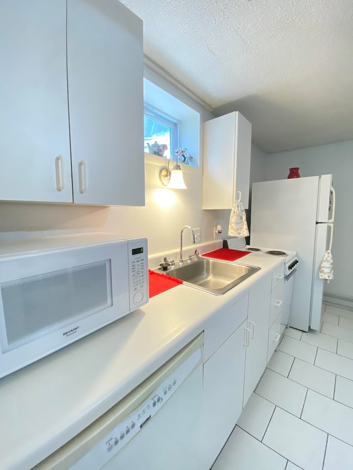 Modern Basement Apt. W/ Private Entry (Near Dc) - Kensington, MD