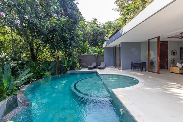 Cliffside Jungle Villa With Treetop Views - Ubud