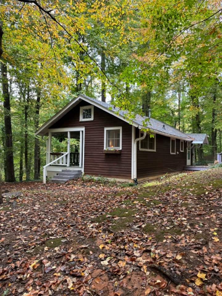 Rustic Brown Bungalow - Dog Friendly! - Weaverville, NC