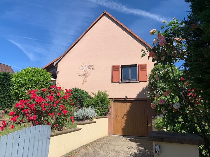 Studio Avec Cuisine Spa
Sauna, Jardin Terrasse Sdb - Thann