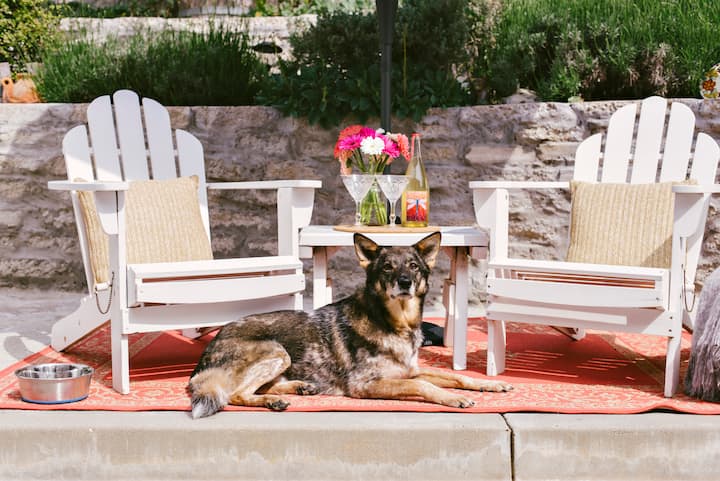 Casa San Miguelito—in Downtown Ab & Dog Friendly! - Montana