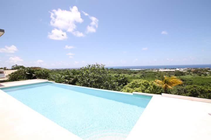 Oceanview Villa W Infinity Pool, South Coast Gem - Bridgetown