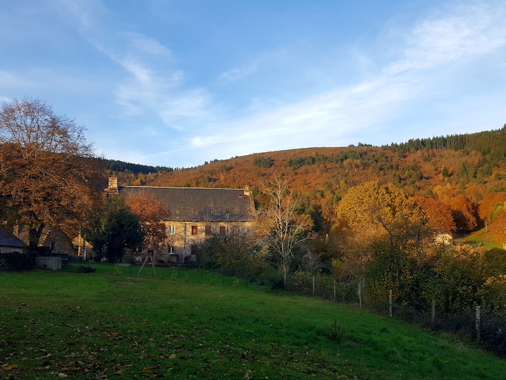 Gîte Des Alpagas Chaumeil - Corrèze