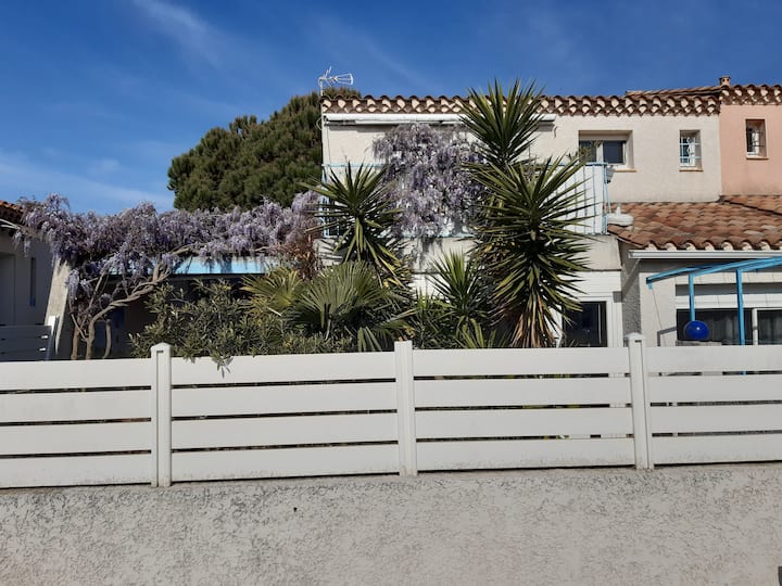 L'hippocampe - Portiragnes