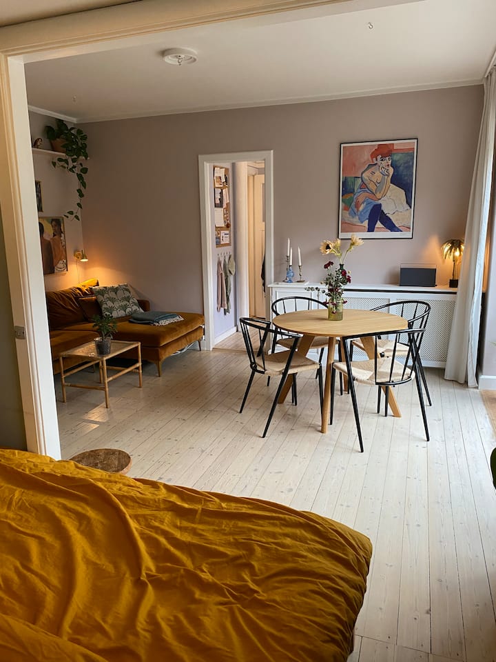 Hyggelig Lejlighed På Nørrebro - Copenhagen