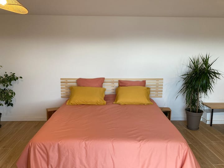 Centre Ville Avec Vue Magnifique Et Parking Privé - L'Odéon