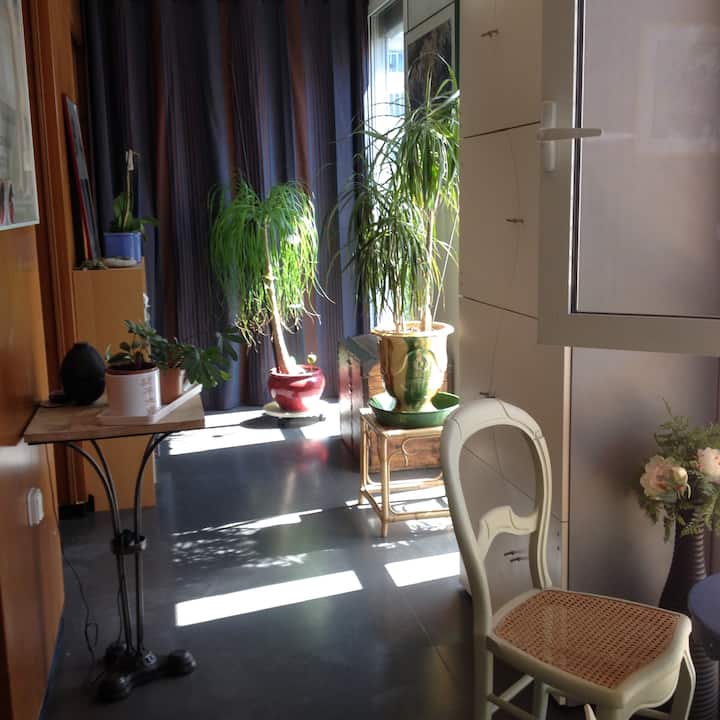 Appart Zen Dans Un éCo-quartier Du Centre-ville - Grenoble