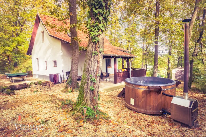 Erdei Pihenés A Vörösbegy Vendégházban - Nagymaros