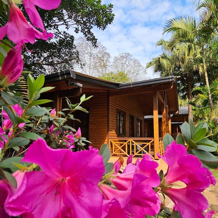 Natalia’s Cabins: Pool, Nature & Chill - Puerto Iguazú