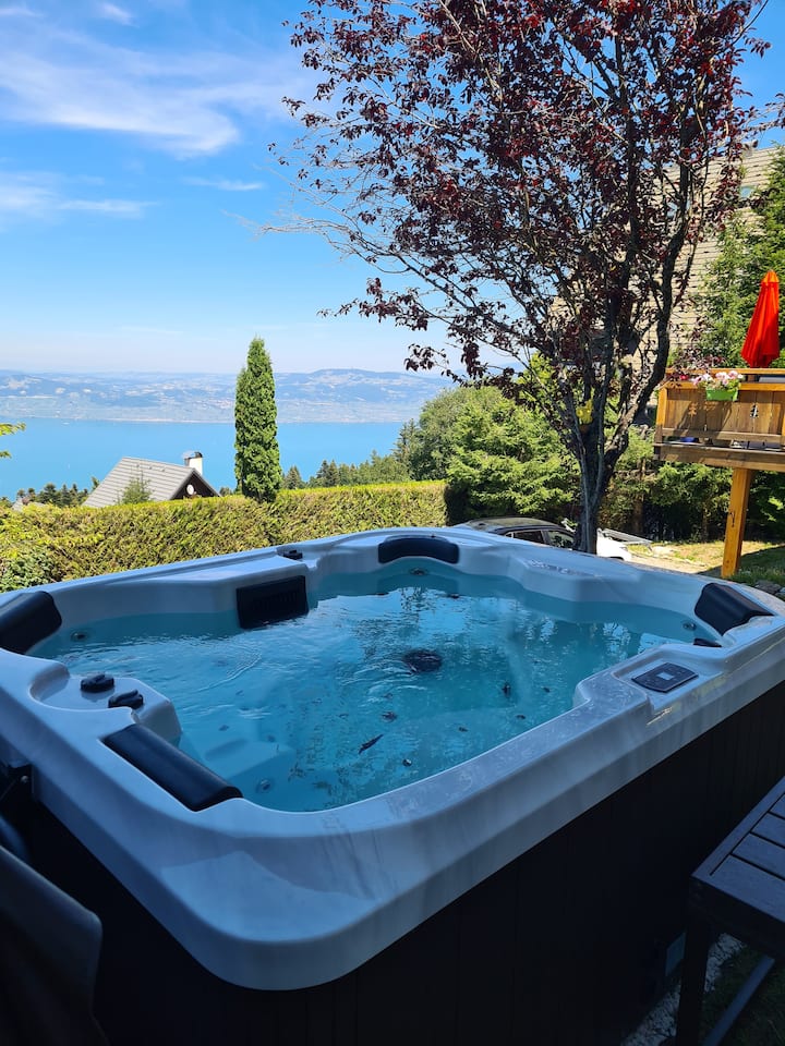 Mountain Chalet With Amazing Views Of Lake Geneva. - Lake Geneva