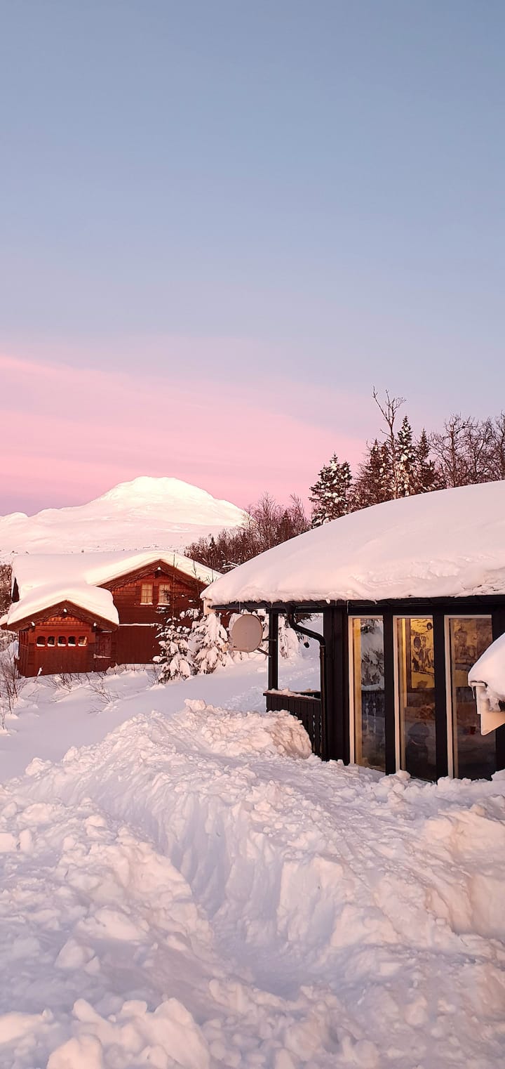 Norway, Telemark, Cottage, Hiking In The Mountains - Norway
