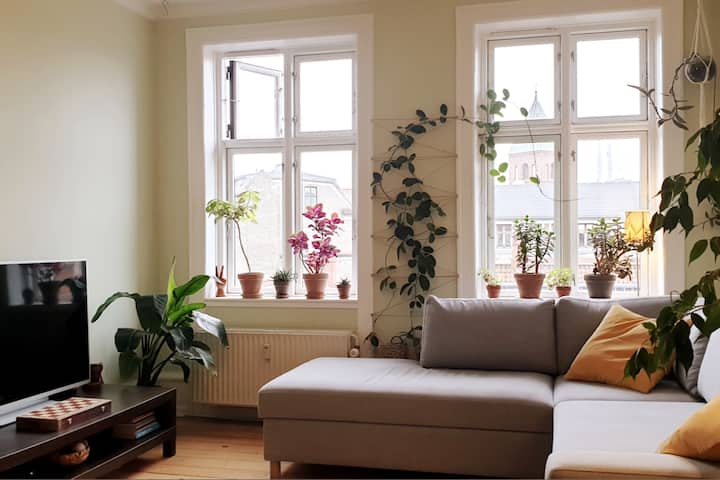 Central Two Room Apartment - Copenaghen
