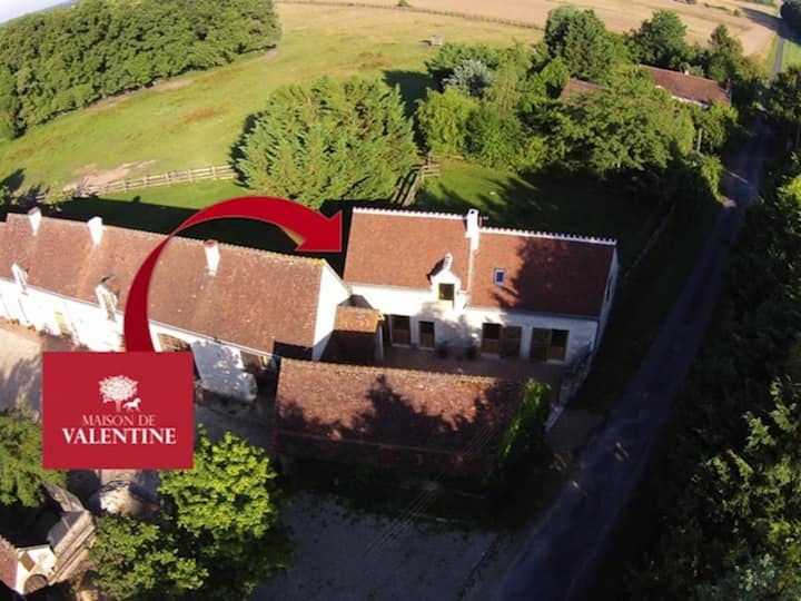 Ecrin De Verdure Au Coeur Des Châteaux De La Loire - Loches