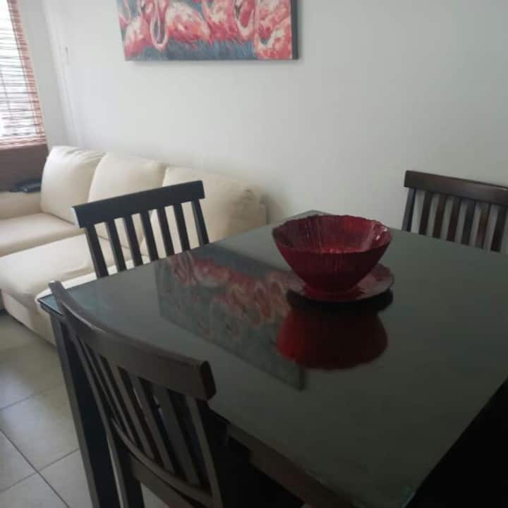 Alquilo Apartamento Privado Con Piscina, Parking Y Wifi. - Playa del Carmen