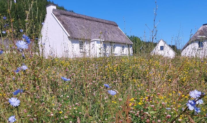 Corofin Lake Cottage 08 - Clare County