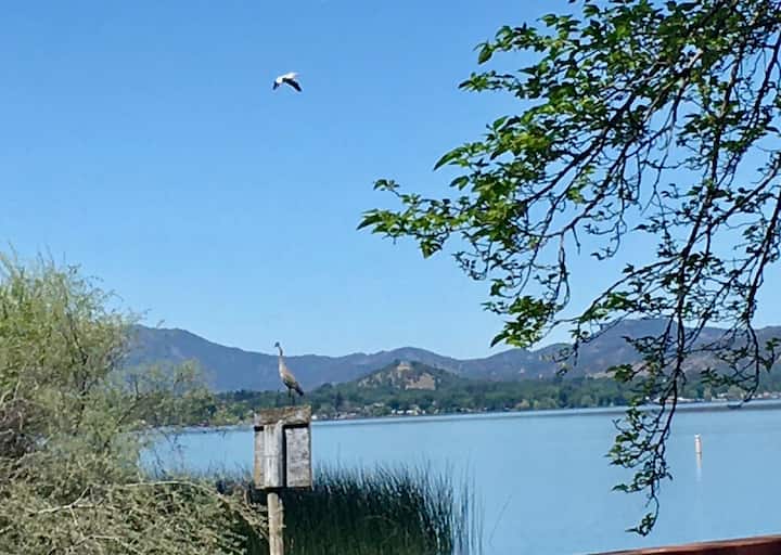Serene Waterfront Home - Lakeport, CA