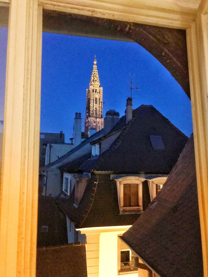 Très Bel Appartement Centre Strasbourg Cathédrale - Estrasburgo