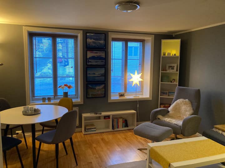 Sentralt Beliggende Leilighet - Tromsø
