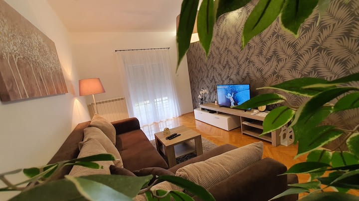 Spring Apartments  - No. 2 - One-bedroom - Čačak