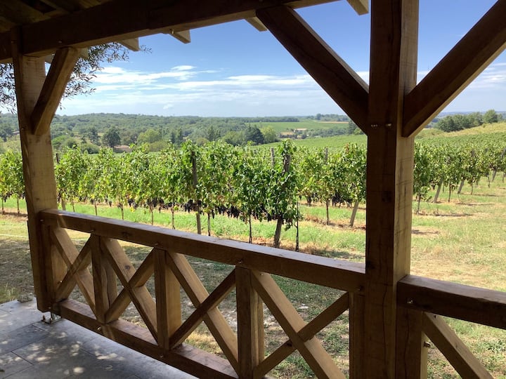 Les Palues - Guest House (Gîte) Vineyard Property - Marmande
