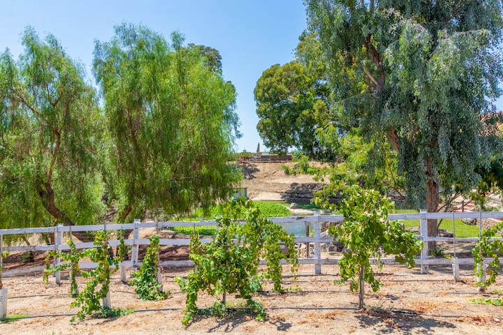 Vineyard View Hot Tub Home On Private Estate - Temecula, CA