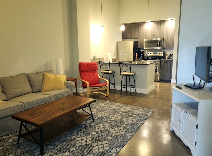 Restaurant Bars & Art Galore! New Condo Mcv Vcu - Richmond, VA
