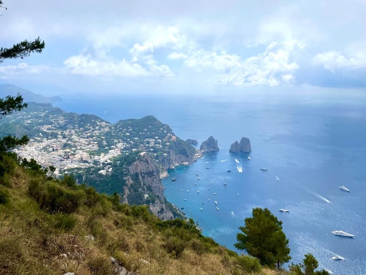Apartment In Villa With Garden - Capri
