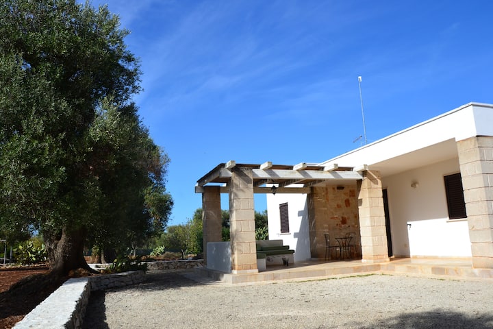 La Corte Dei Trulli - Villa Timo - San Vito dei Normanni